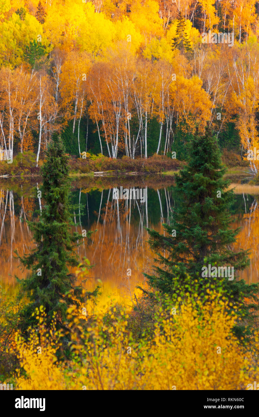 Fall leaves reflected in lake Stock Photo - Alamy