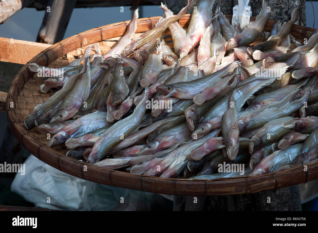 Bangkok Thailand, fresh fish for sale in street market Stock Photo - Alamy