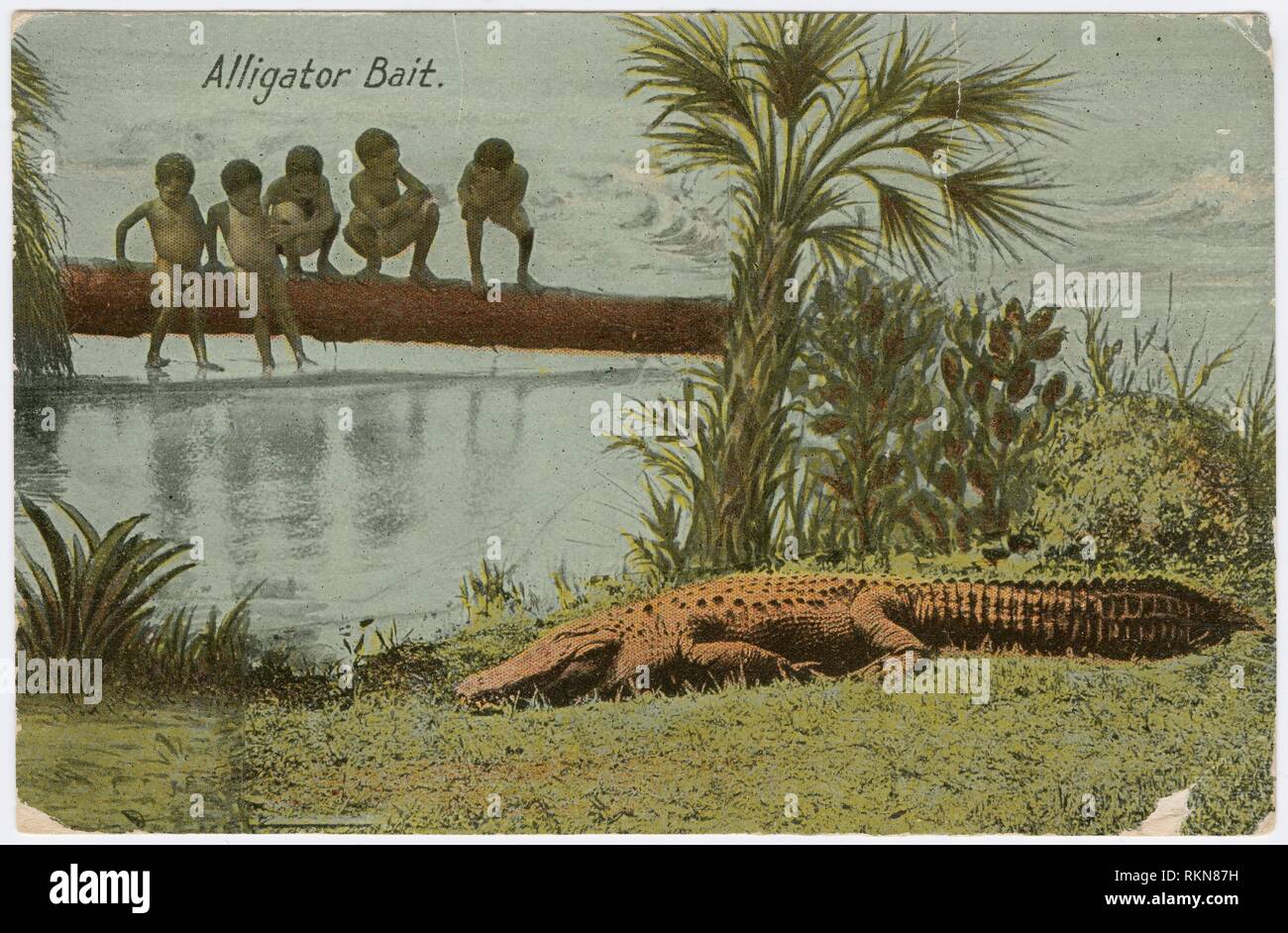 Gator Bait And Tackle