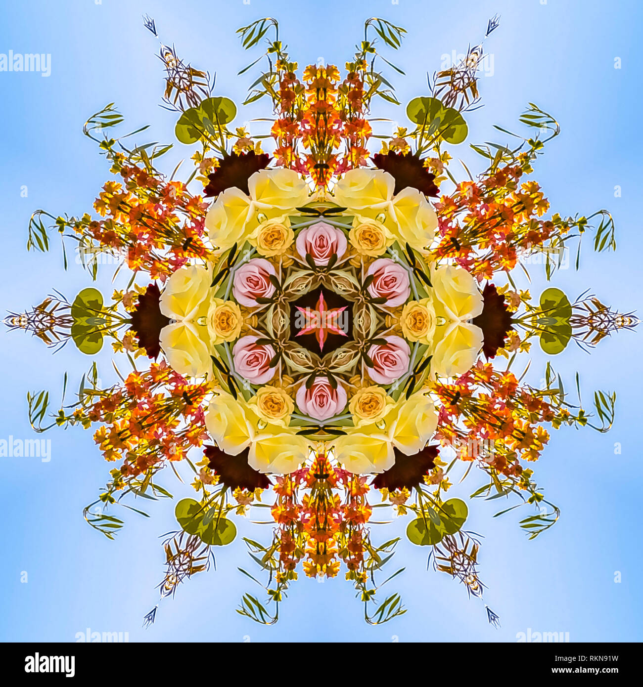 Radially system hi-res stock photography and images - Alamy