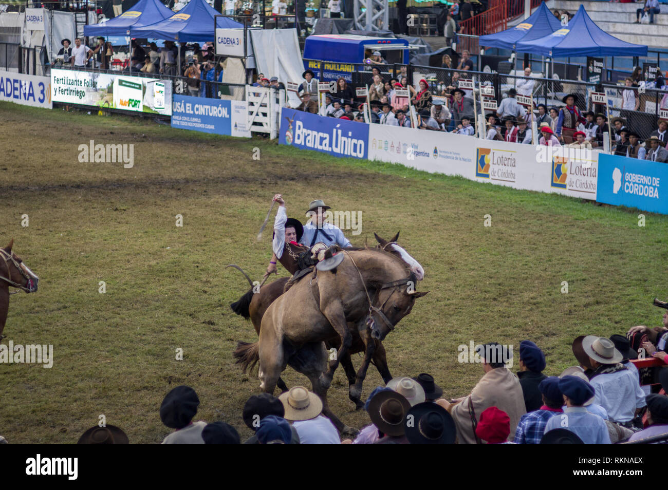 Festival de Doma y Folklore festival of bucking broncos and folklore ...