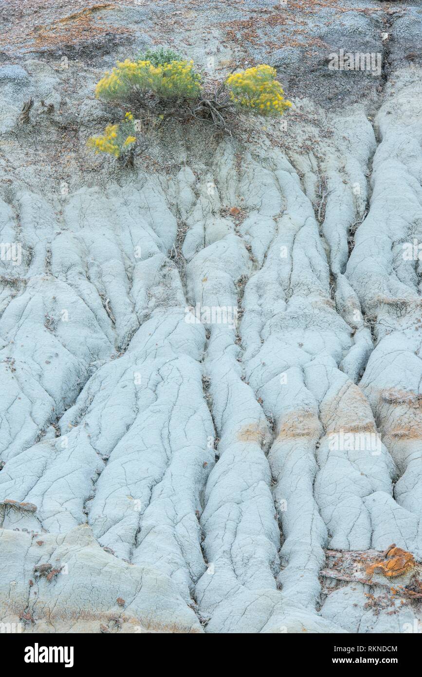 Rill sediment erosion hi-res stock photography and images - Alamy