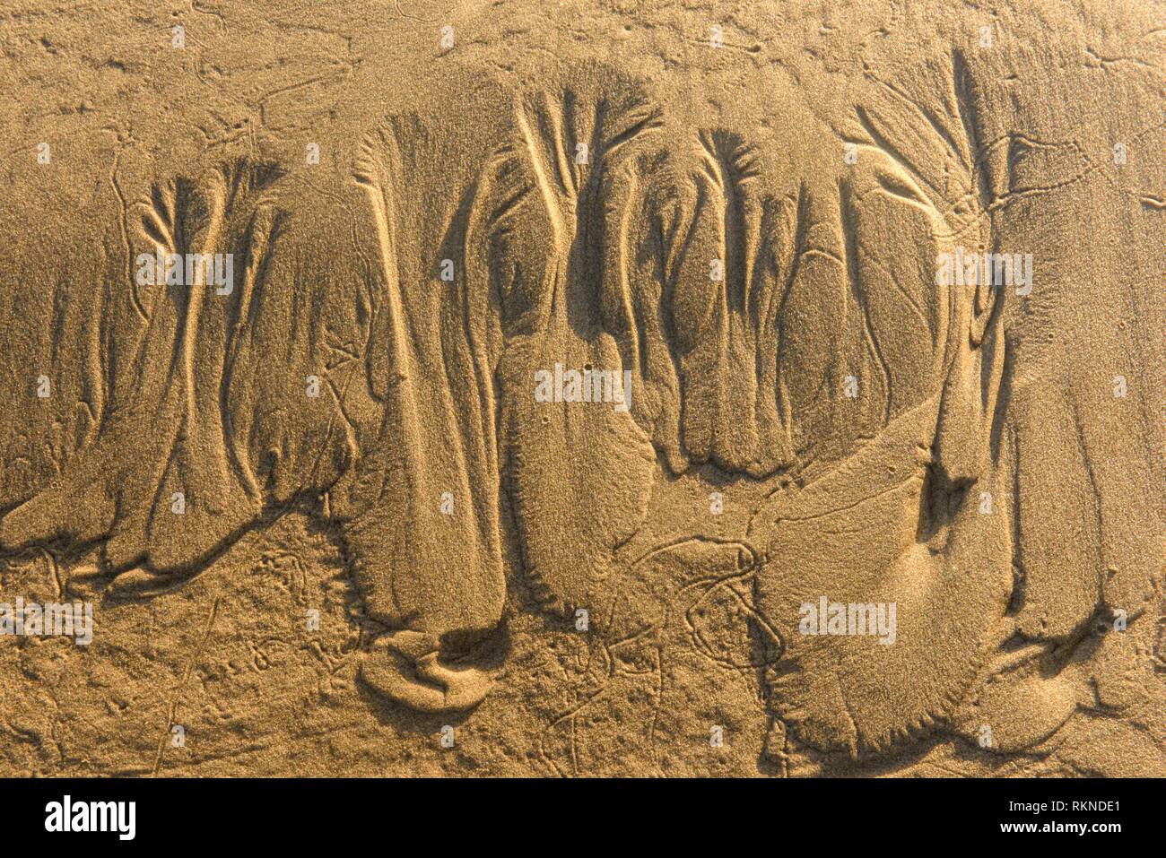 Usa pattern patterns hi-res stock photography and images - Alamy