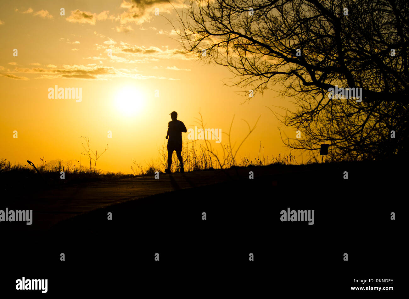 Dfw adventure park hi-res stock photography and images - Alamy