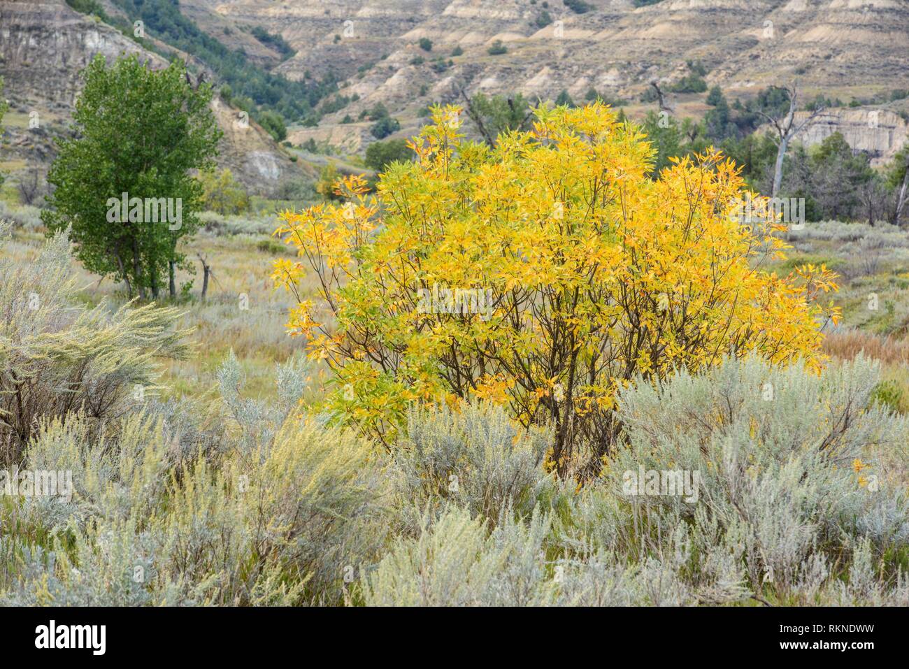 Protected Prairie Habitat High Resolution Stock Photography And Images