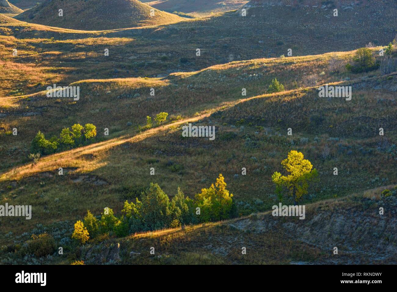 Prairie and badlands hi-res stock photography and images - Alamy