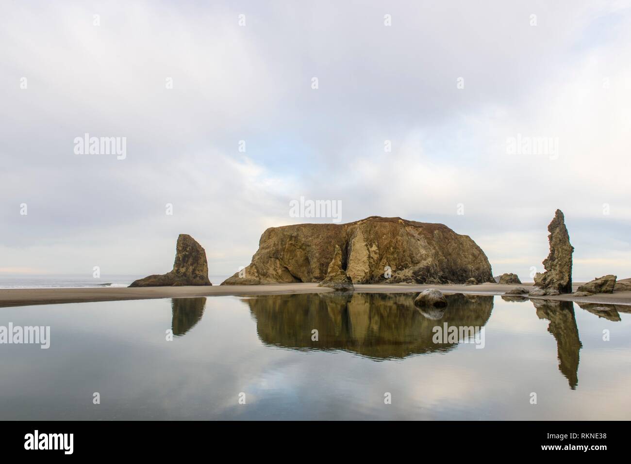 Tide pool oregon coast hi-res stock photography and images - Alamy