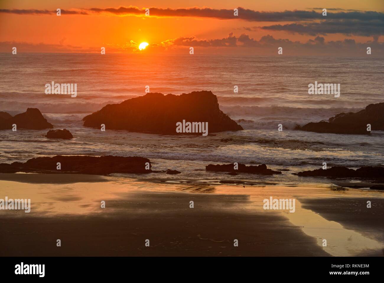 Seal rock oregon hi-res stock photography and images - Alamy