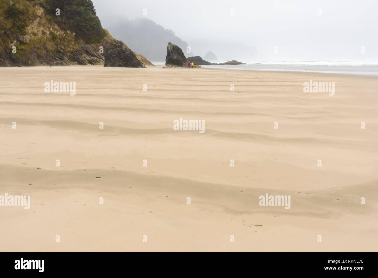 Windswept natural hi-res stock photography and images - Alamy