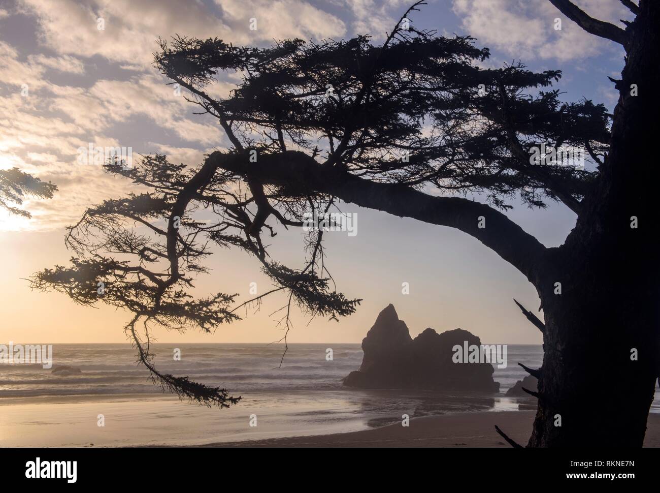 Coastal beach area hi-res stock photography and images - Alamy