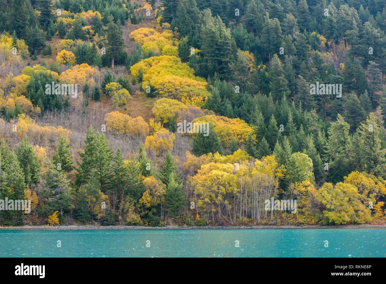 Chilko Lake British Columbia Stock Photos & Chilko Lake British ...