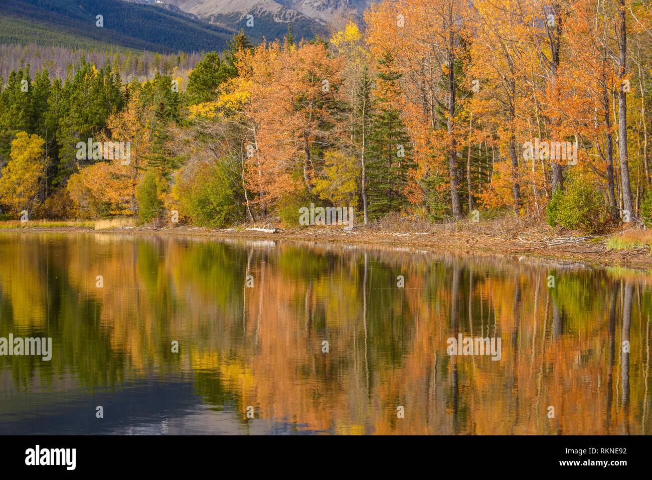 Chilko lake hi-res stock photography and images - Alamy