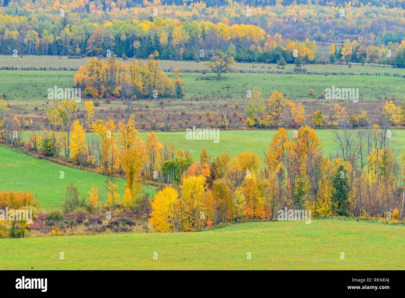Manitoulin island road autumn hi-res stock photography and images - Alamy