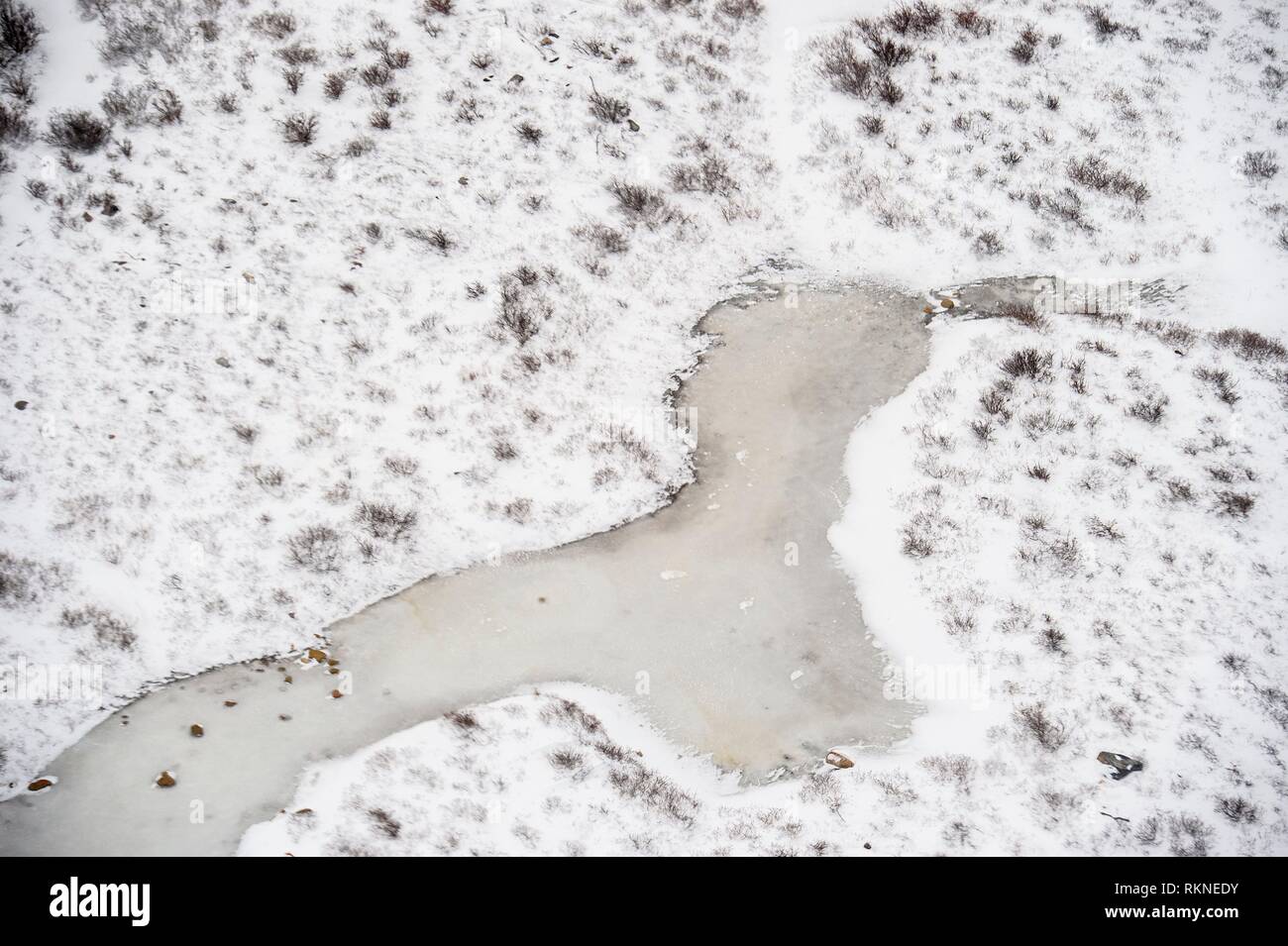 Beautiful birds of canada hi-res stock photography and images - Alamy