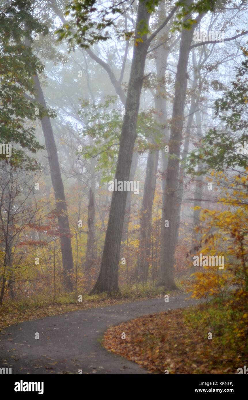 Curve in path hi-res stock photography and images - Alamy