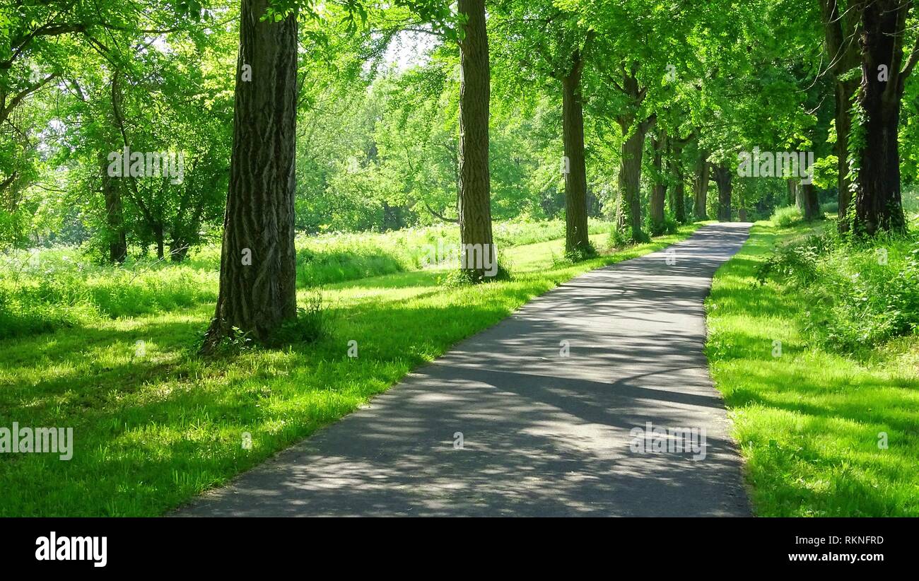 Walking landscape summer hi-res stock photography and images - Alamy