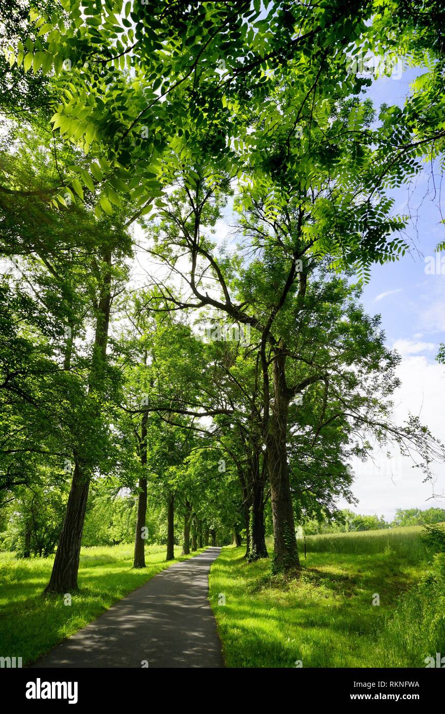 Green tree pennsylvania hi-res stock photography and images - Alamy