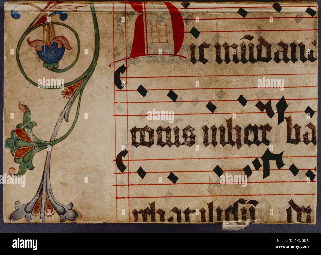 Renaissance book cover hi-res stock photography and images - Alamy