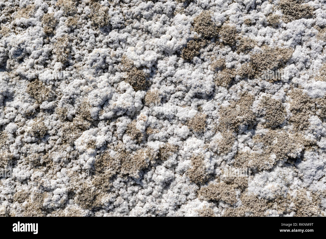 White alkali hi-res stock photography and images - Alamy