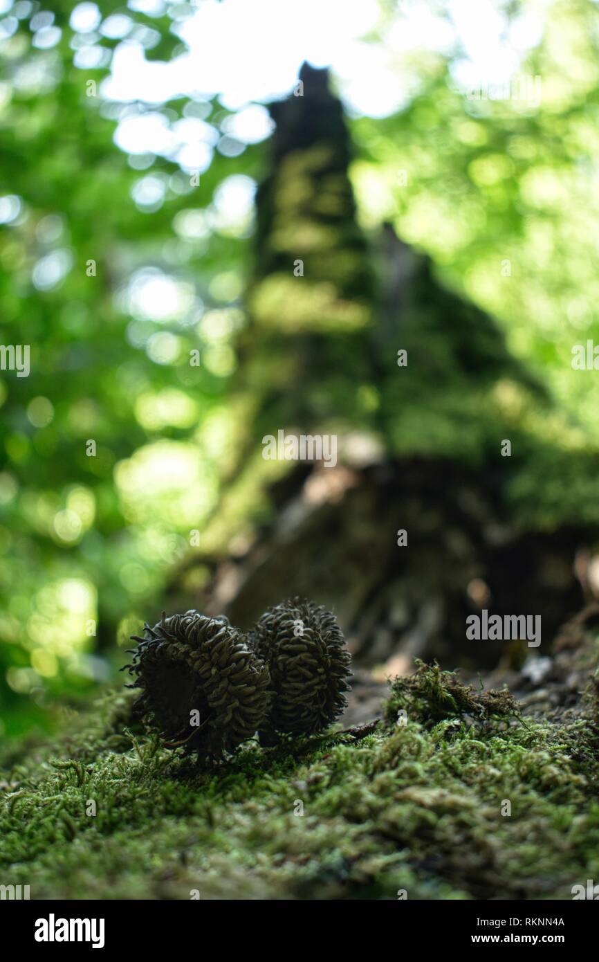 Environmental moment hi-res stock photography and images - Alamy