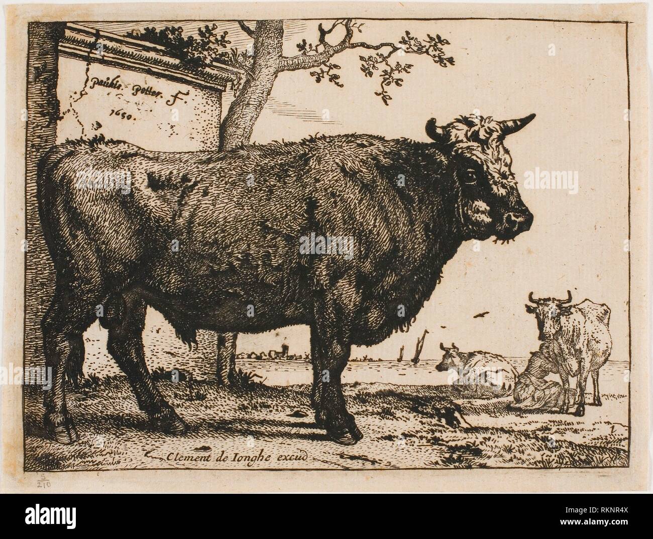 The Bull - 1650 - Paulus Potter Dutch, 1625-1654 - Artist: Paulus ...