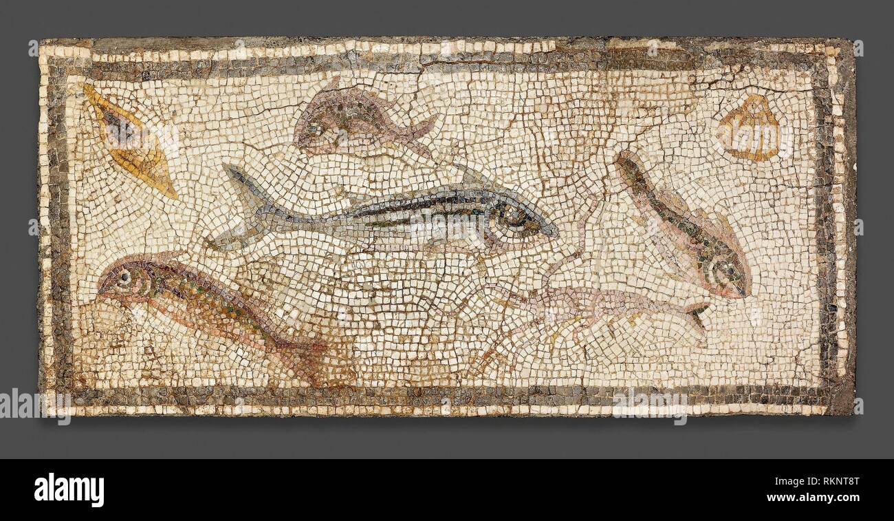 Marine life mosaic hi-res stock photography and images - Alamy