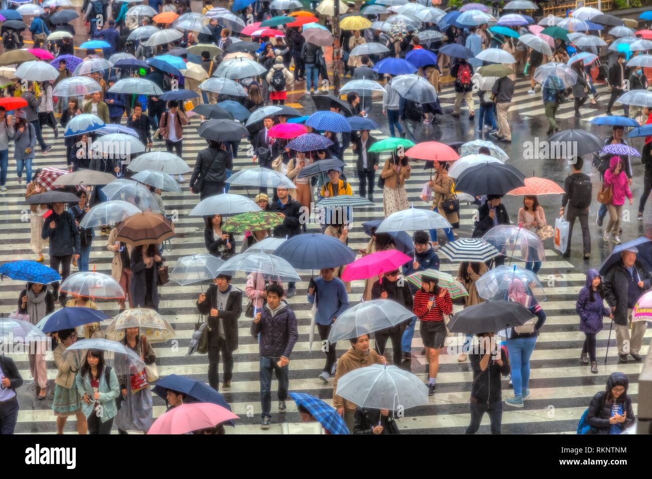 Multicoloured pedestrian crossing hi-res stock photography and images ...