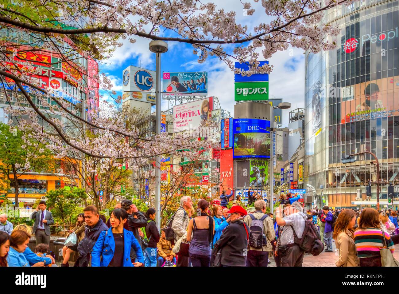 The Shibuya street crossing in Shibuya, Tokyo, Japan, Asia Stock Photo ...