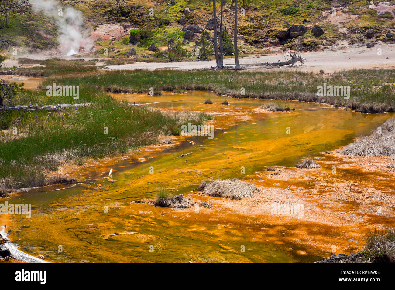 Blood on the ground hi-res stock photography and images - Alamy