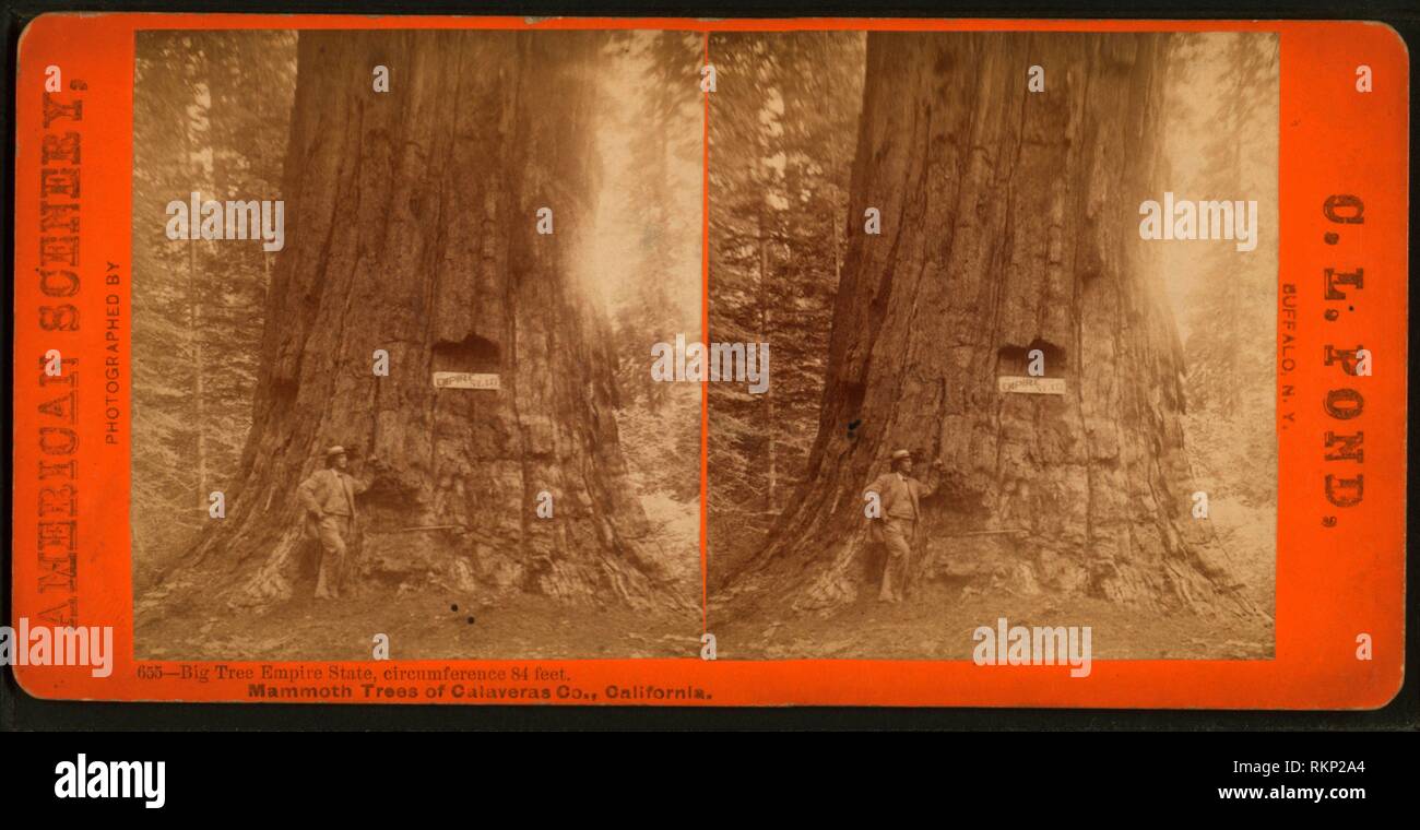 655 feet hi-res stock photography and images - Alamy