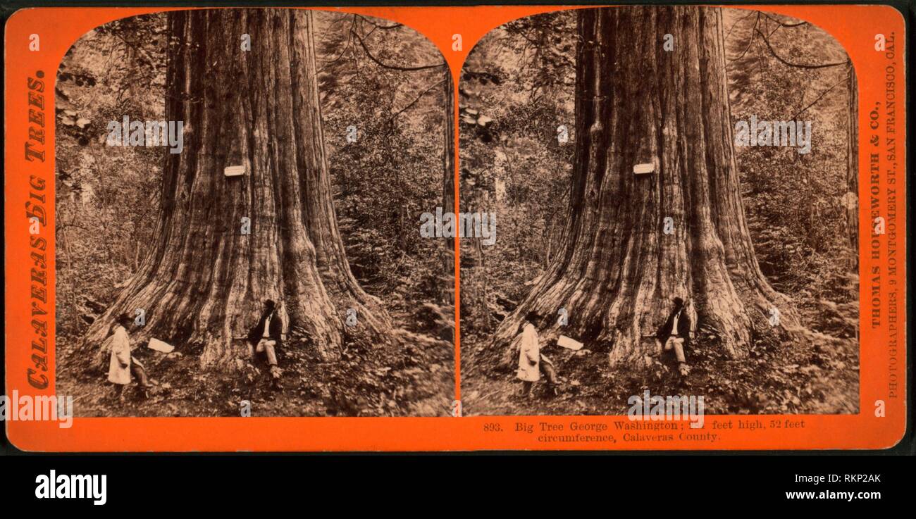 George Washington Plant High Resolution Stock Photography and Images ...