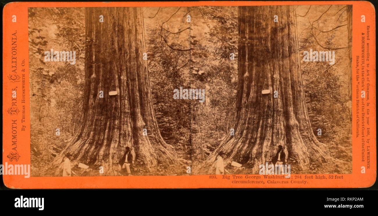 George Washington Plant High Resolution Stock Photography and Images ...