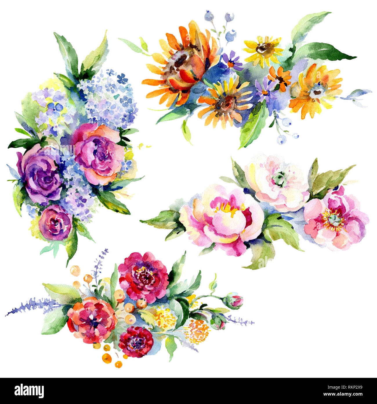 Bouquets floral botanical flower. Watercolor background illustration ...
