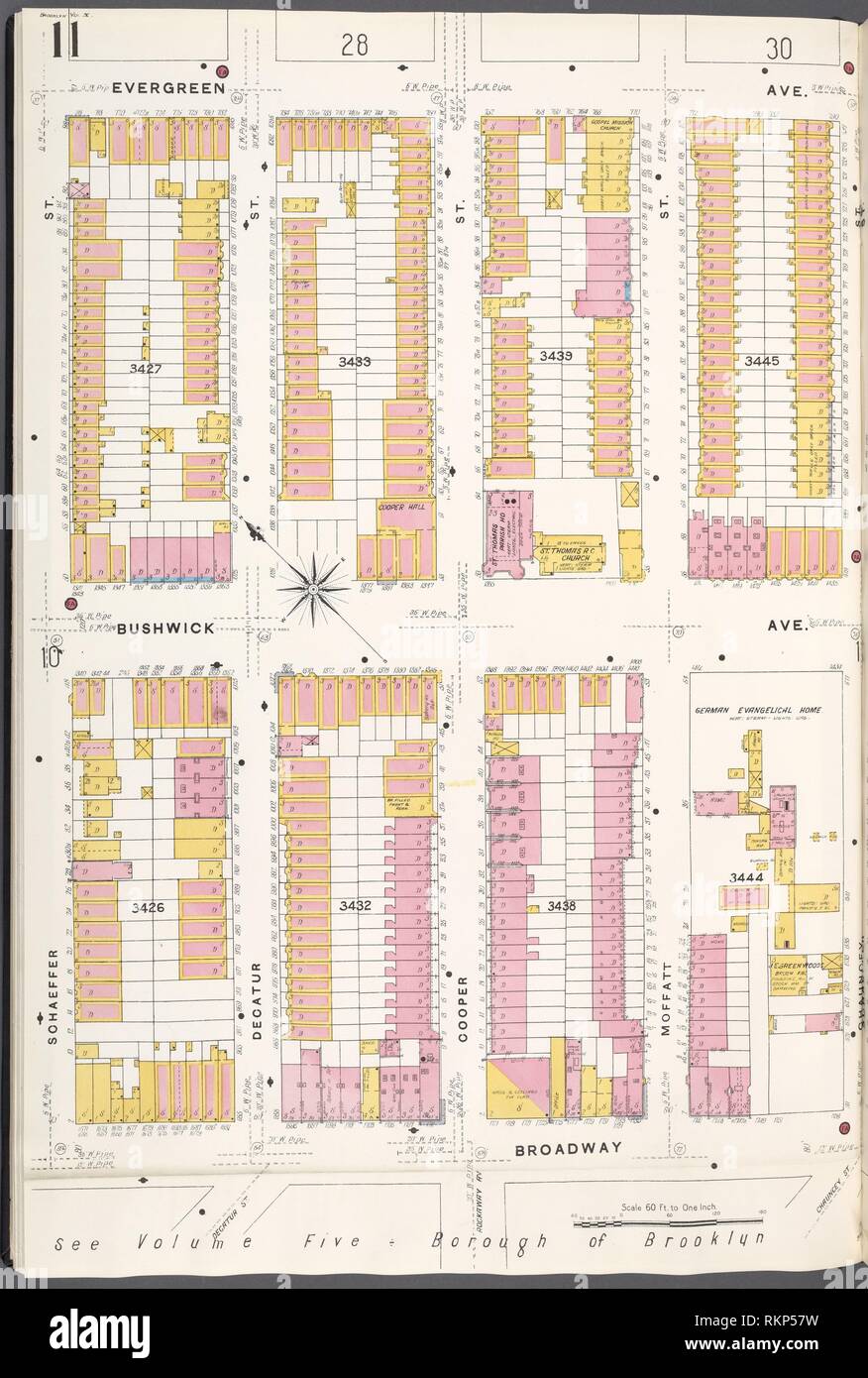 Map of evergreen hi-res stock photography and images - Alamy