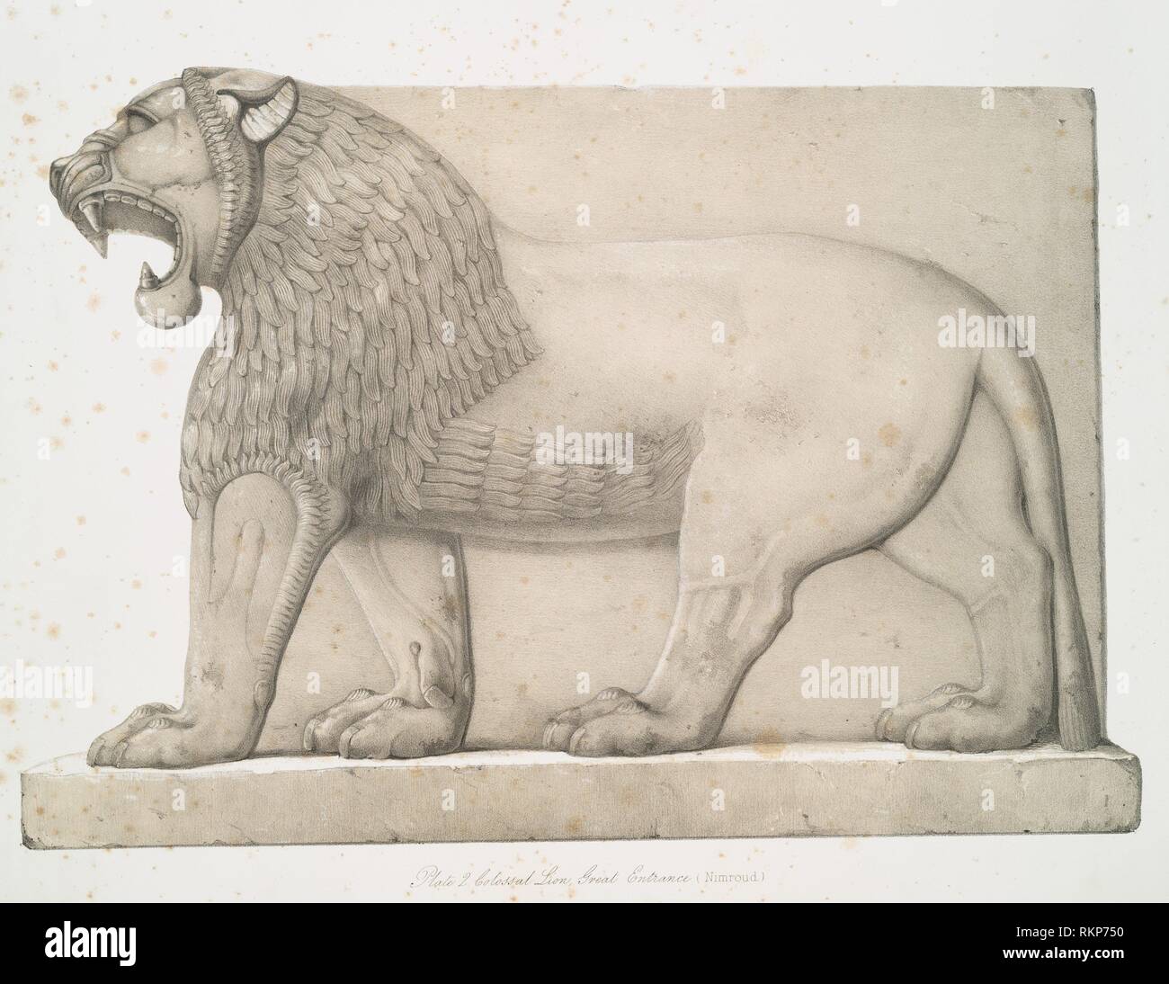 Sennacherib lion hi-res stock photography and images - Alamy