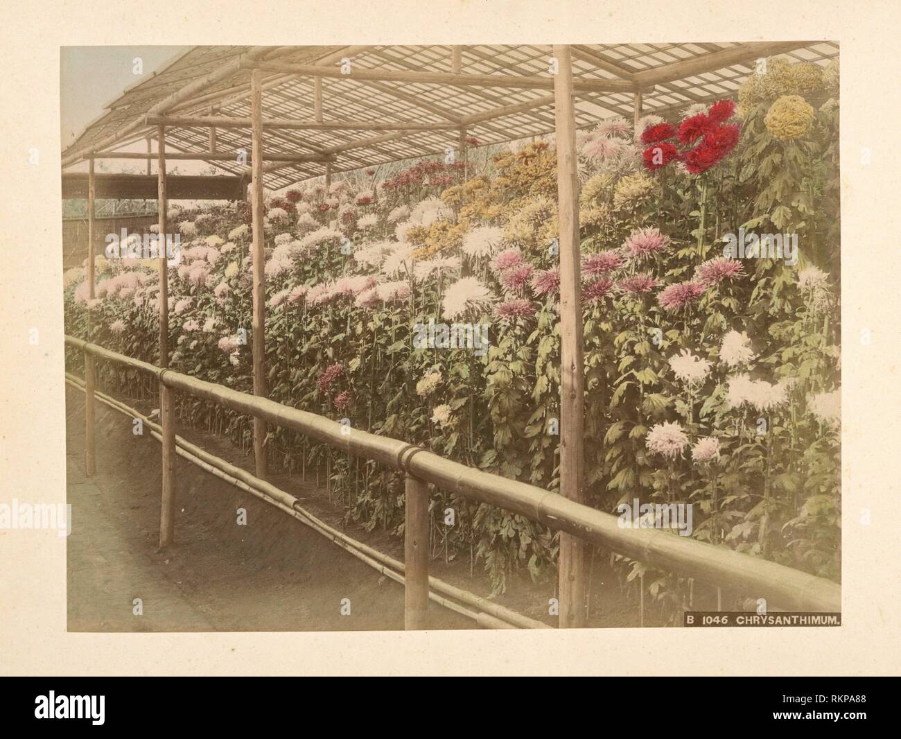 Japan historic photo hi-res stock photography and images - Alamy