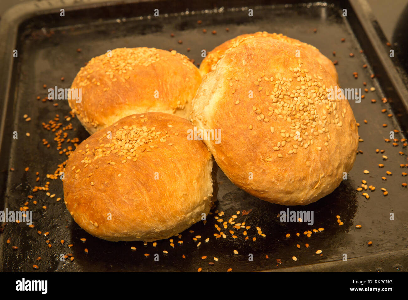 Freshly baked Sesame seed bread buns straight from the oven Stock Photo ...