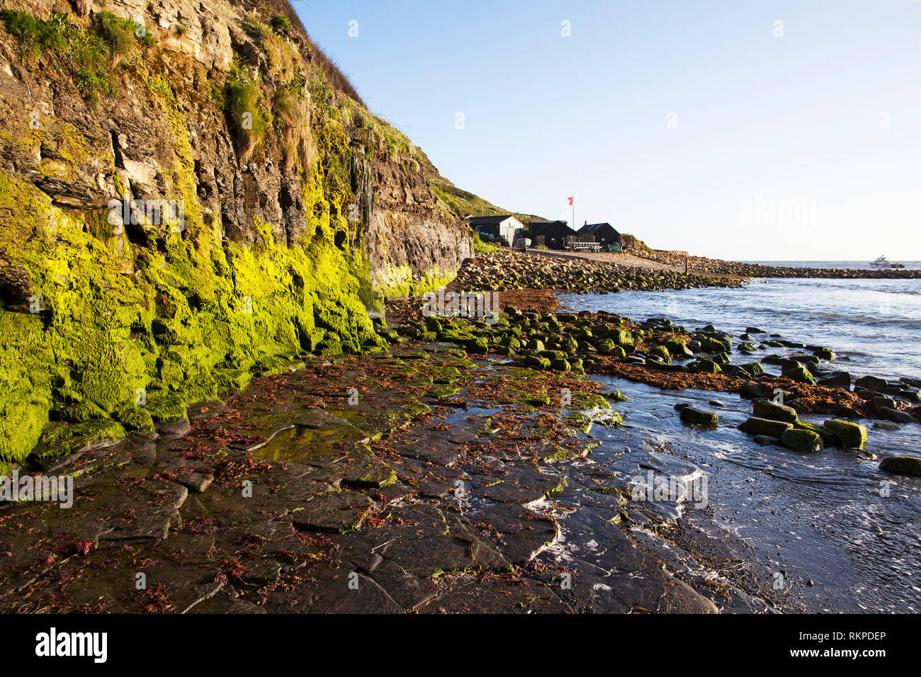 Kimmeridge Bay Jurrasic Coast Dorset England UK Stock Photo - Alamy