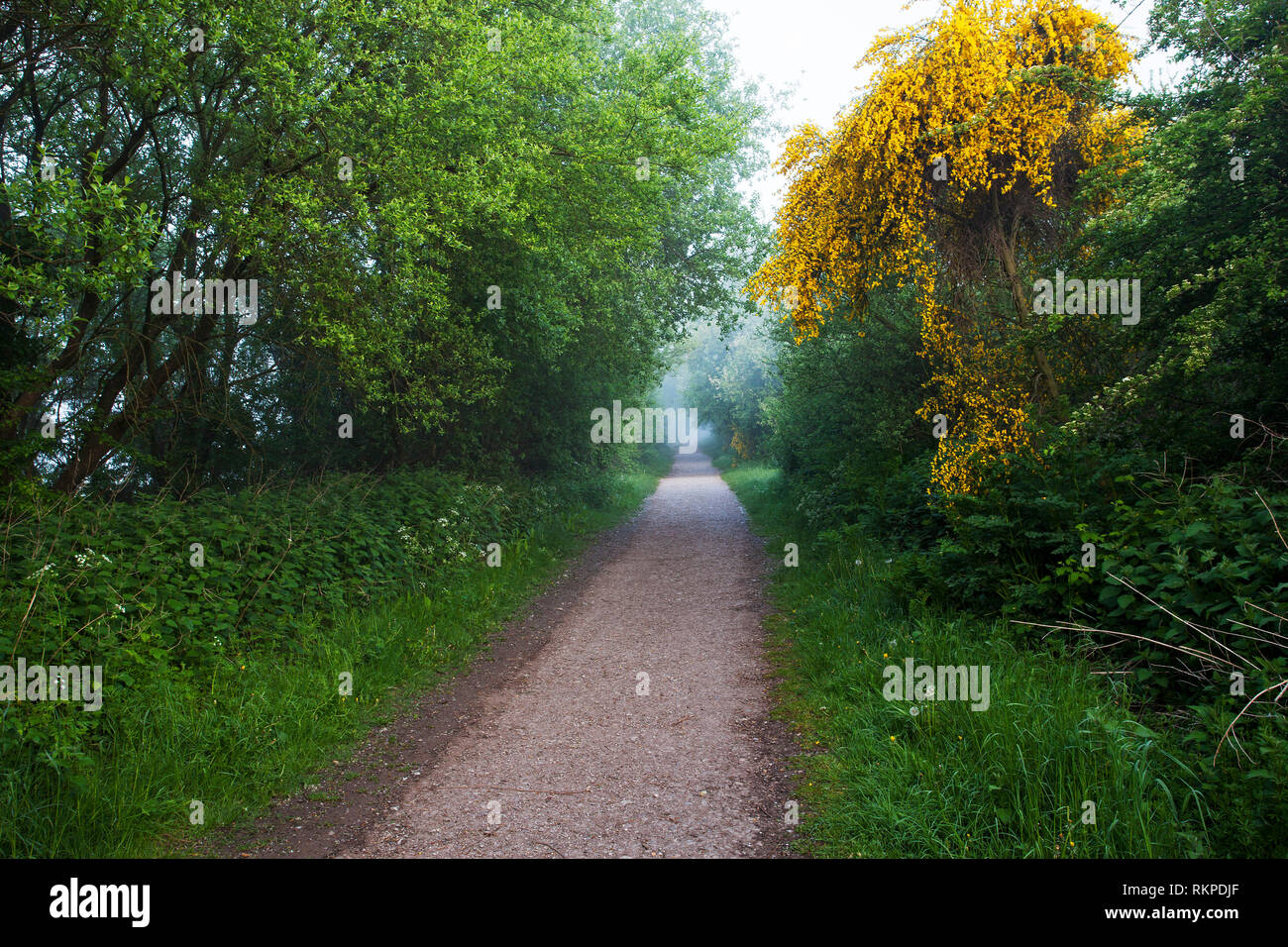 Castleman trailway hi-res stock photography and images - Alamy