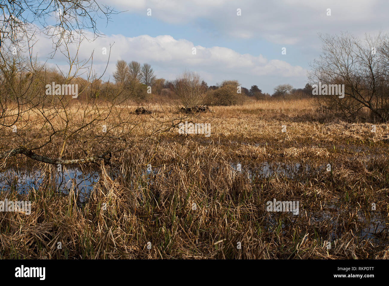 Winchester water meadows hi-res stock photography and images - Alamy