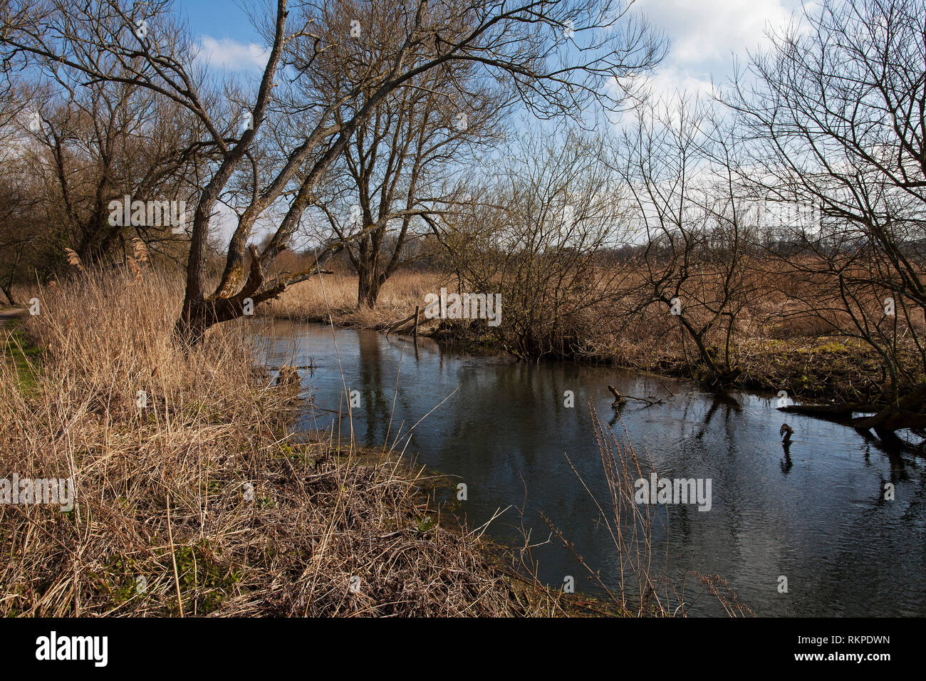 Water channel and footpath Winnall Moors Nature Reserve Hampshire and ...