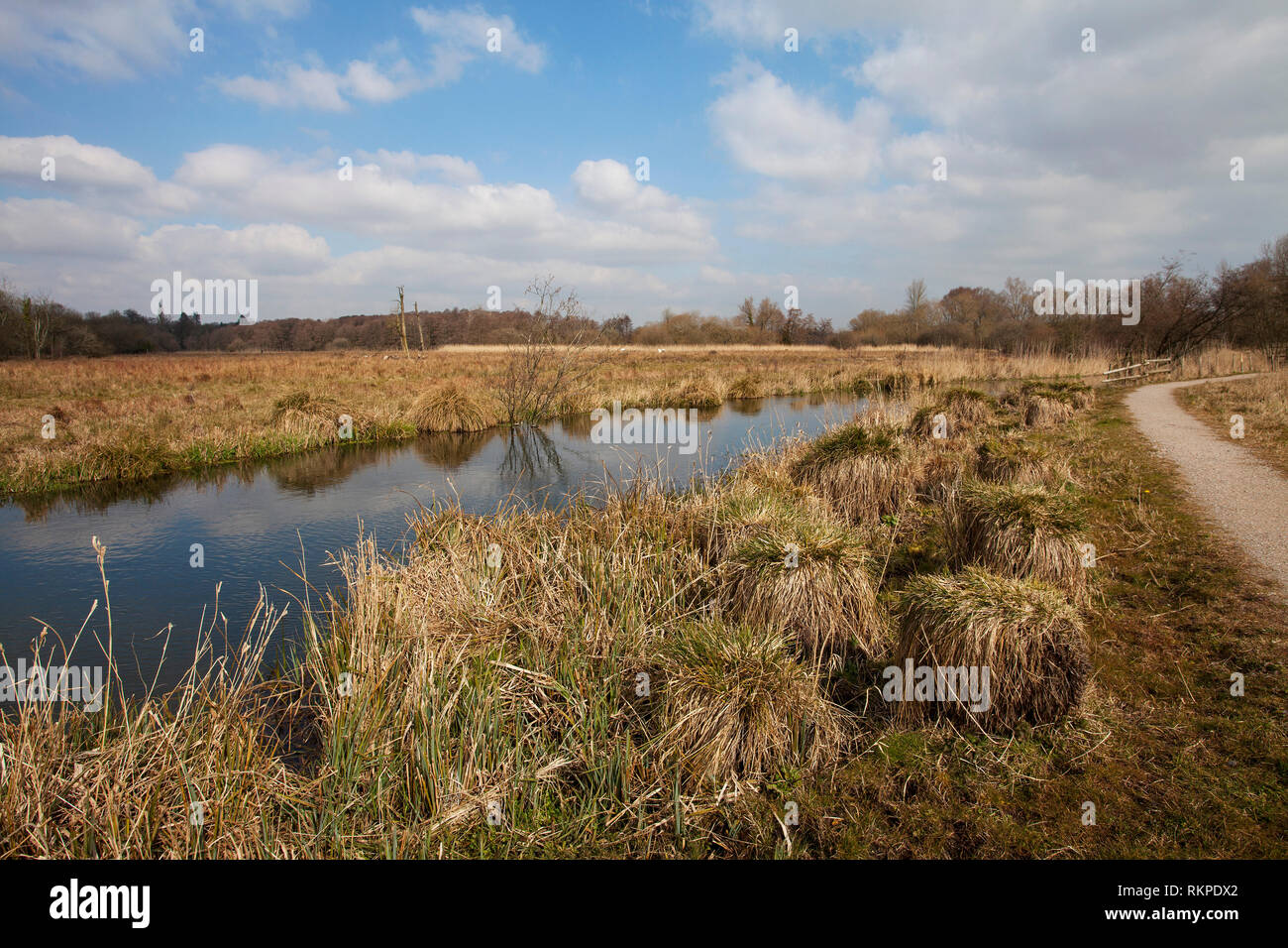 Side channel of river itchen hi-res stock photography and images - Alamy