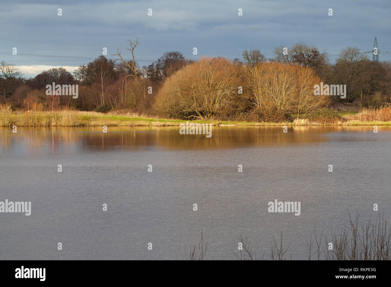 Testwood lakes hi-res stock photography and images - Alamy