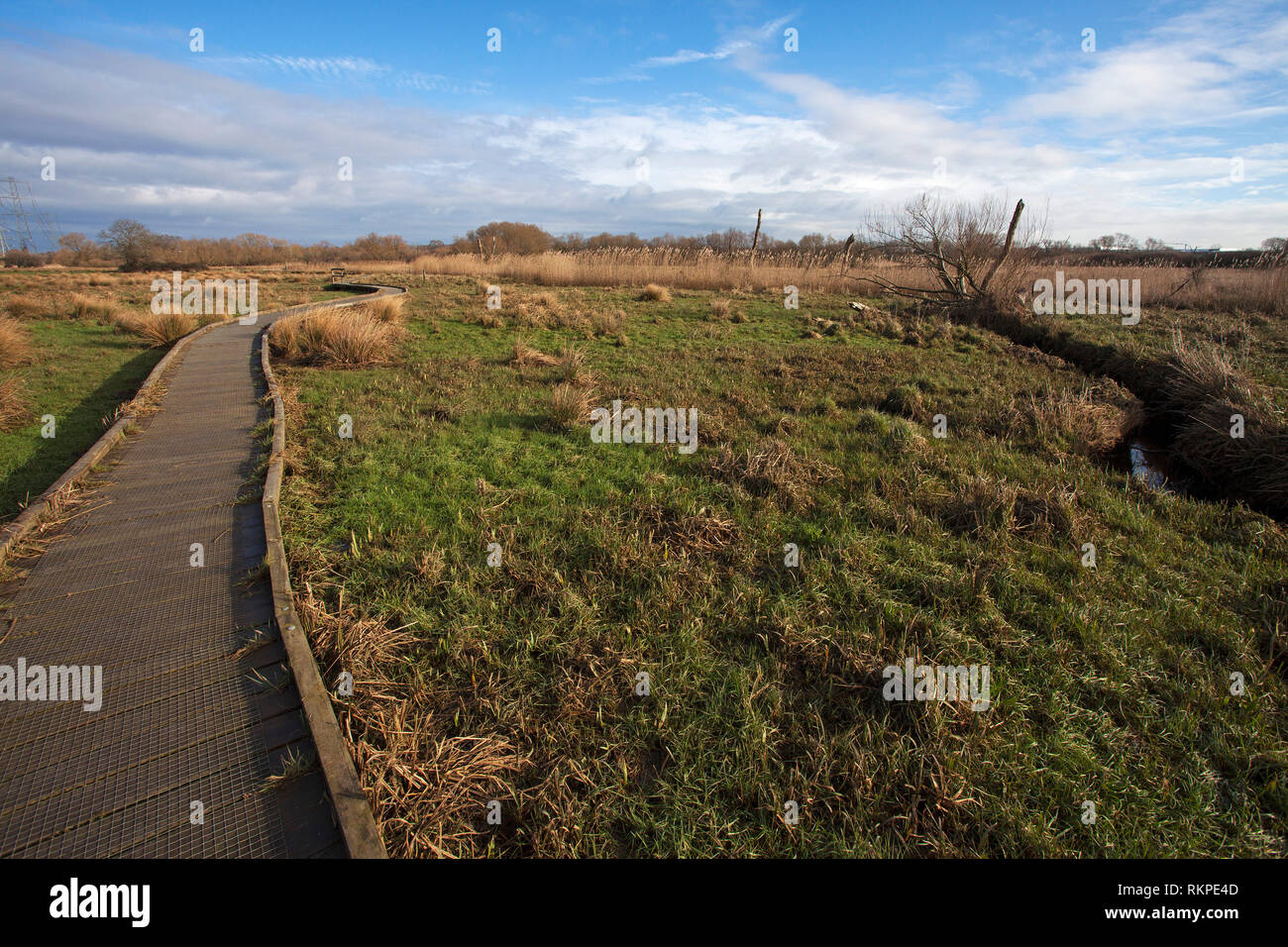 Boardwalk on the Lower Test trail Lower Test Reserve Hampshire and Isle ...