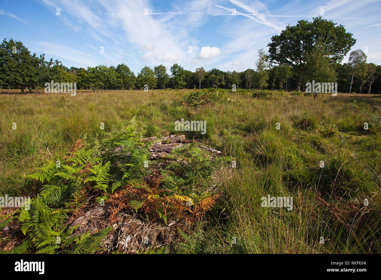 Hook hampshire hi-res stock photography and images - Alamy