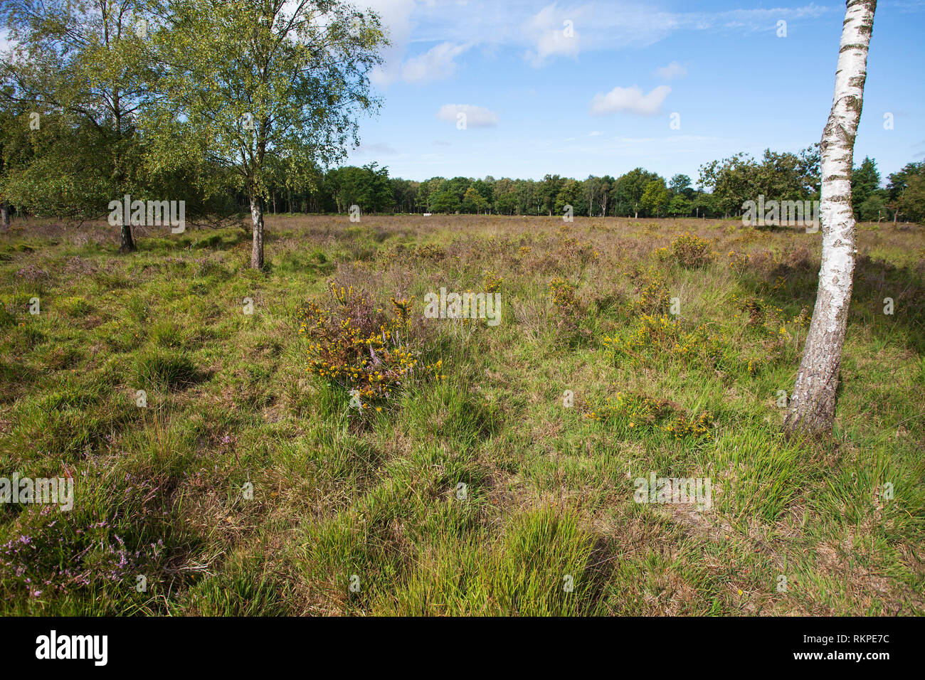 Hook hampshire hi-res stock photography and images - Alamy