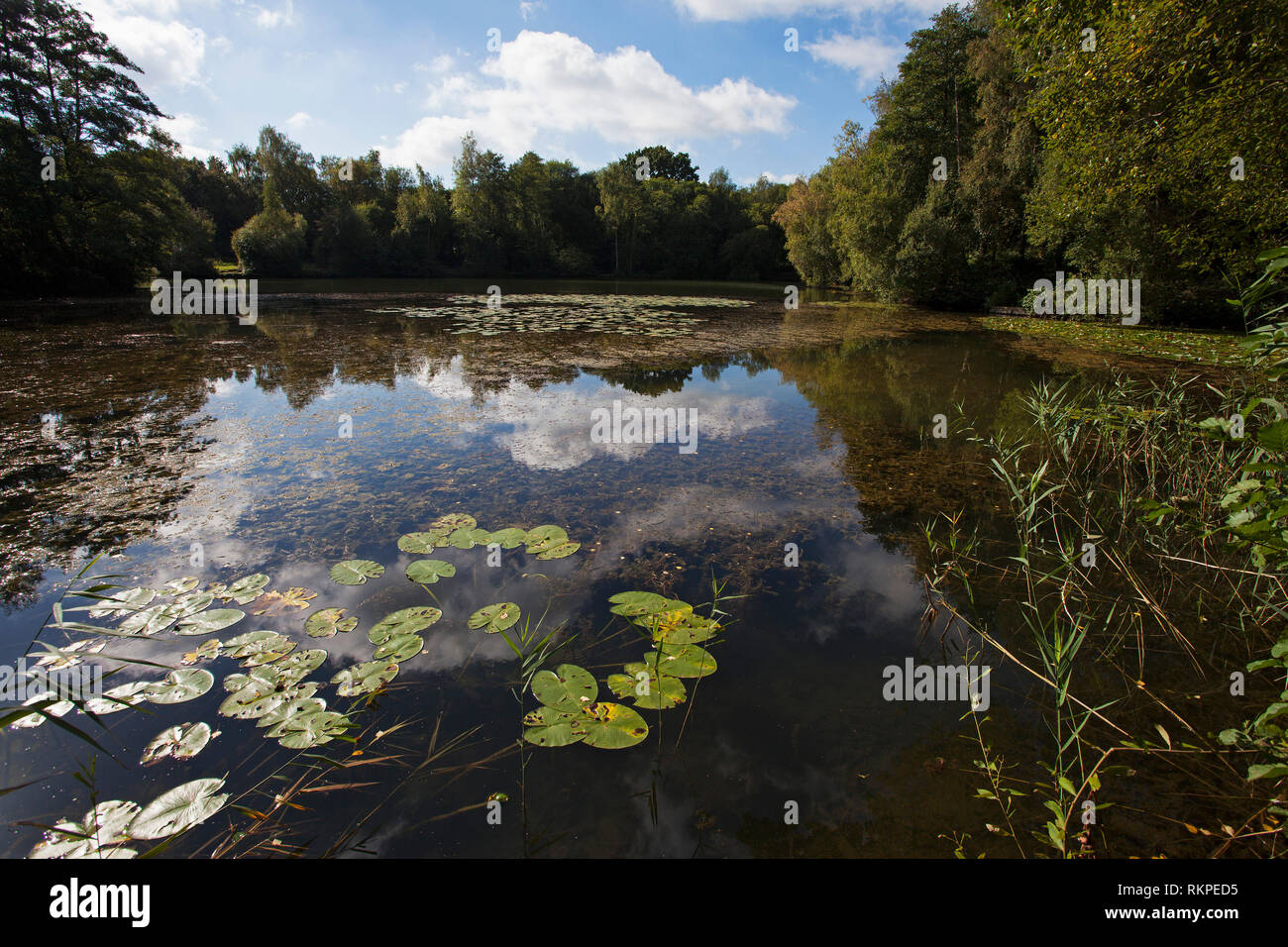 Swanwick lake hi-res stock photography and images - Alamy