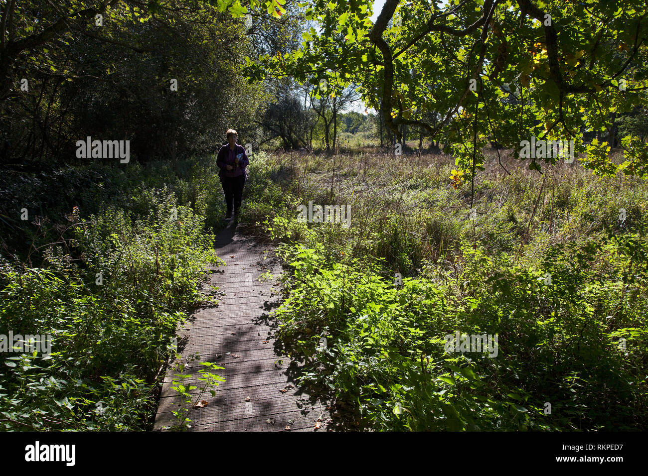 Romsey nature reserve hi-res stock photography and images - Alamy