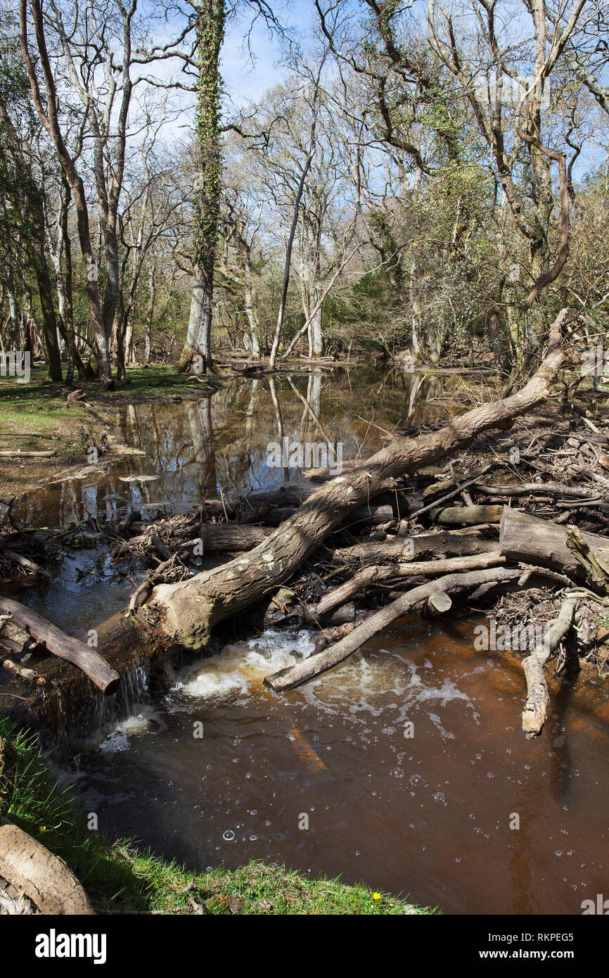 Debris dam hi-res stock photography and images - Alamy