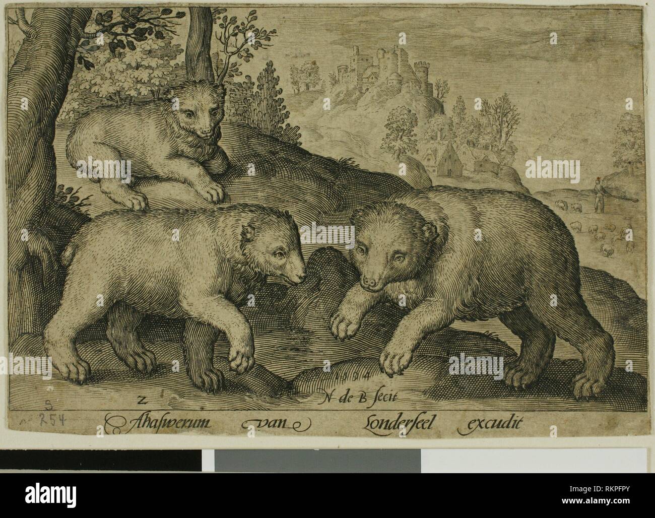 Four legged animals hi-res stock photography and images - Alamy